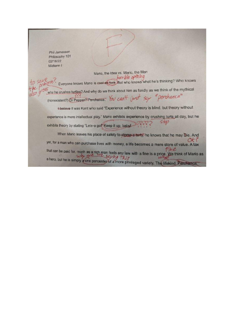 Mario, The Idea vs. Mario, The Man | PDF