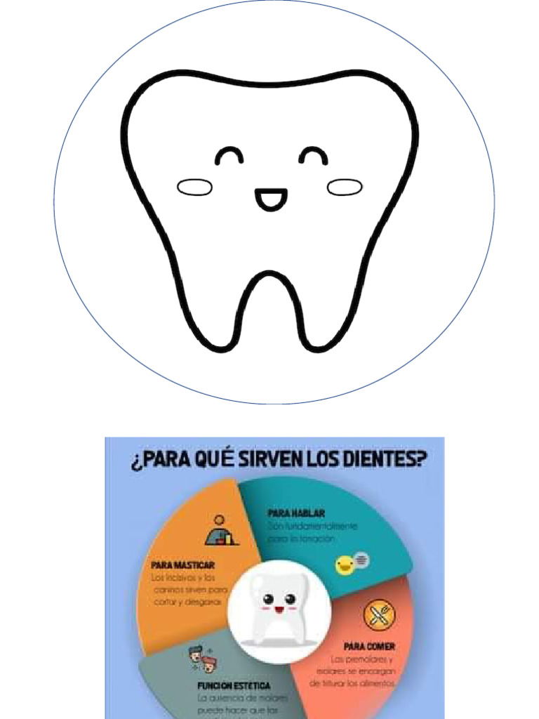 Dientes | PDF