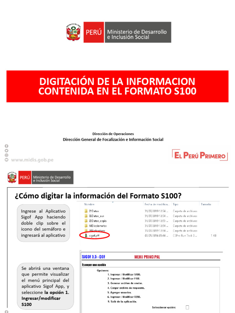 Guía para Digitación S100 en SIGOF App | PDF