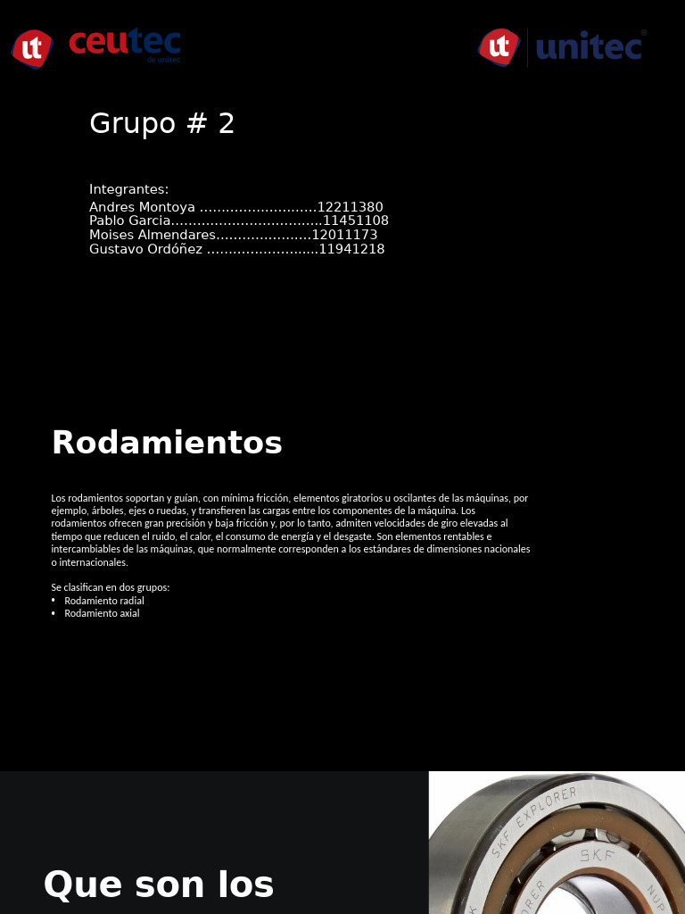 Guía Completa de Rodamientos Radiales | PDF | Rodamiento (Mecánico) | Eje