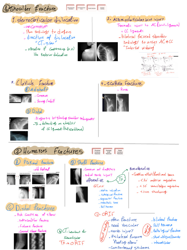 Common Upper Limb Fracture | PDF | Musculoskeletal System | Human Anatomy