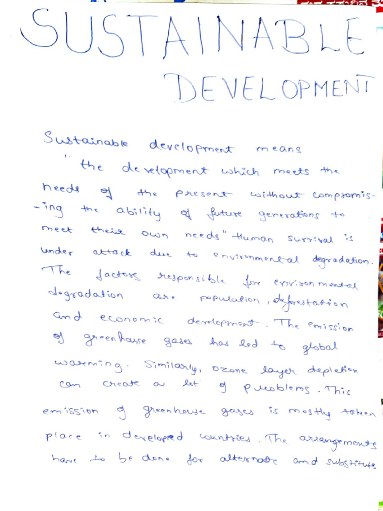 Social Project Work | PDF