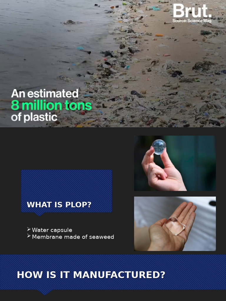 Plop - Your Favorite Basic Necessity | PDF | Warehouse | Water