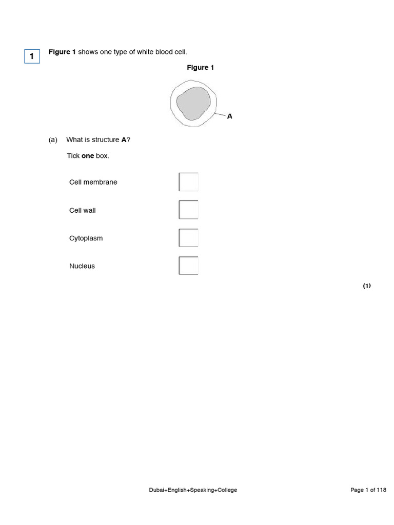 Bio A cell biology 1 | PDF | Stem Cell | Cancer
