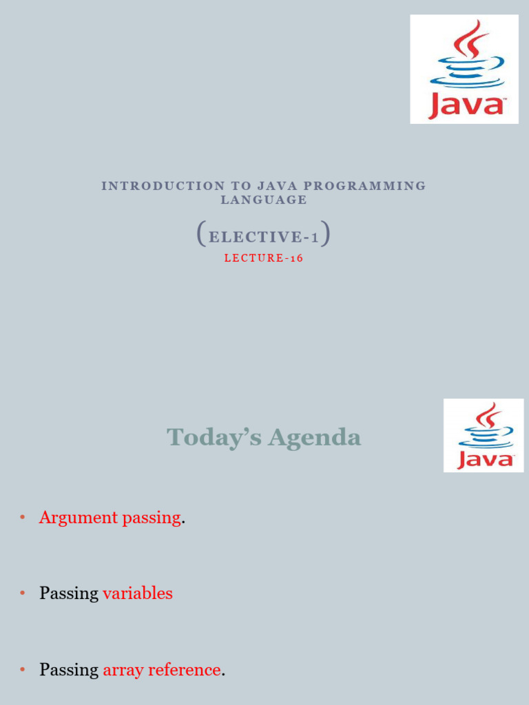 Java SE (Argument Passing) | PDF | Parameter (Computer Programming) | Programming Paradigms