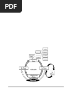 Mitosis in Human Skin Cells Study | PDF | Mitosis | Cell Biology