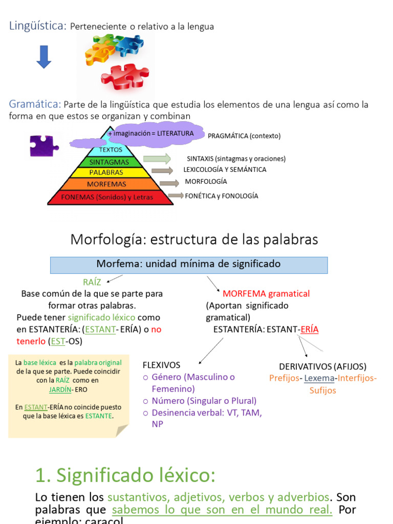 MORFOLOGÍA ESQUEMA Morfemas, Prefijos Sufijos, Familia Léxica | PDF ...