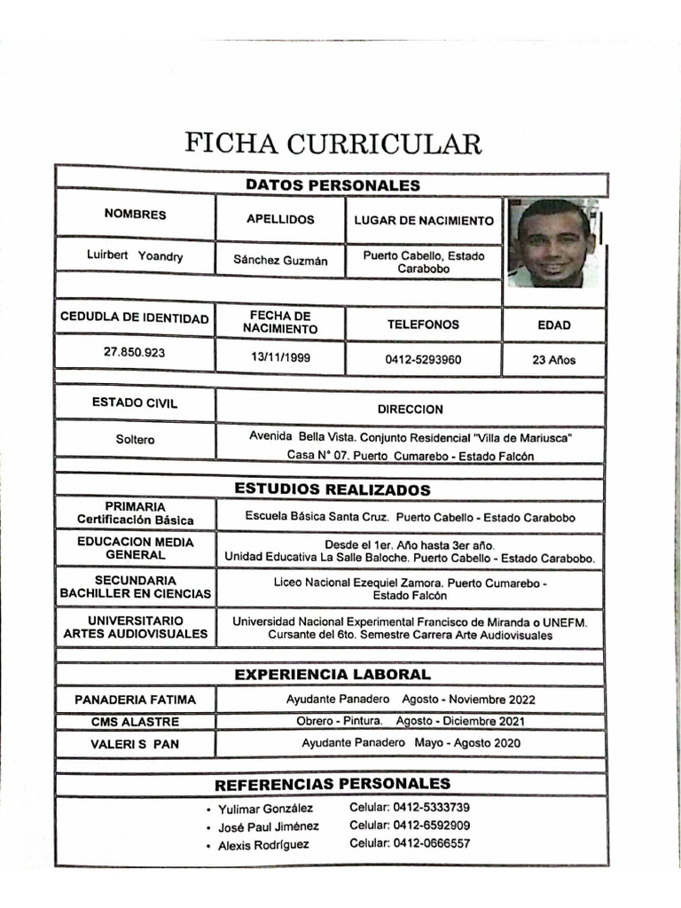 Ficha Curricular | PDF