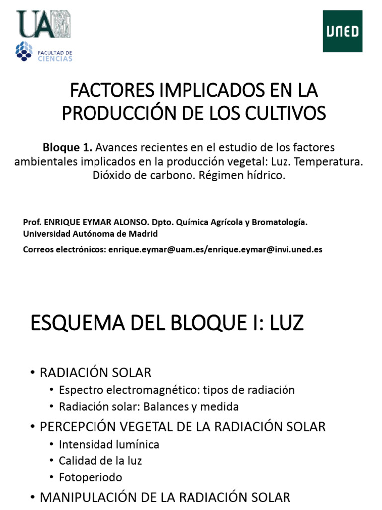 Bloque1 Luz PercepciónVegetal | PDF