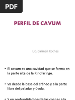 Interpretación de radiografías de cavum | PDF | Enfermedades y ...