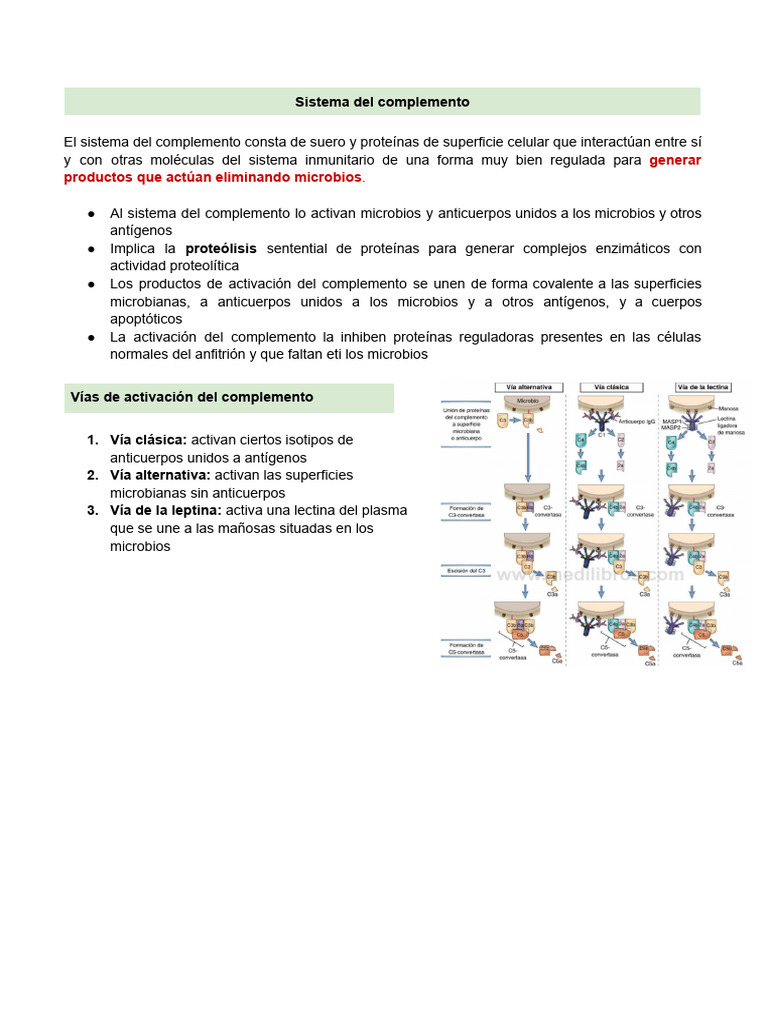 Sistema de Complemento | PDF | Sistema complementario | Biología
