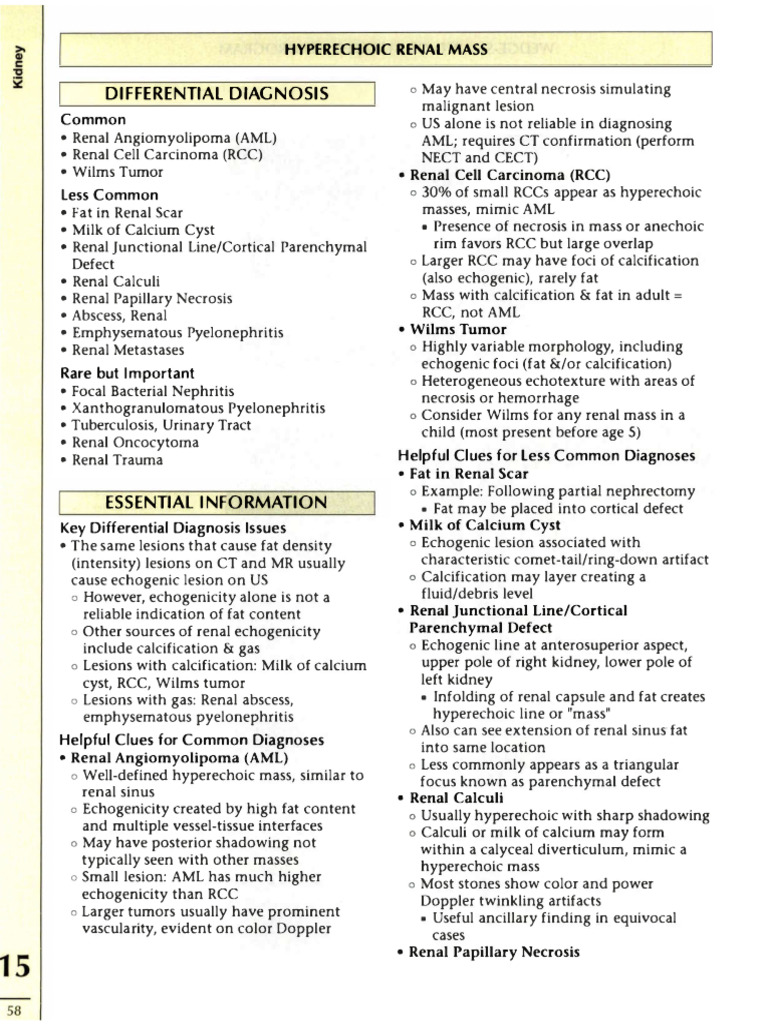 Masas Hiperecogénicas | PDF