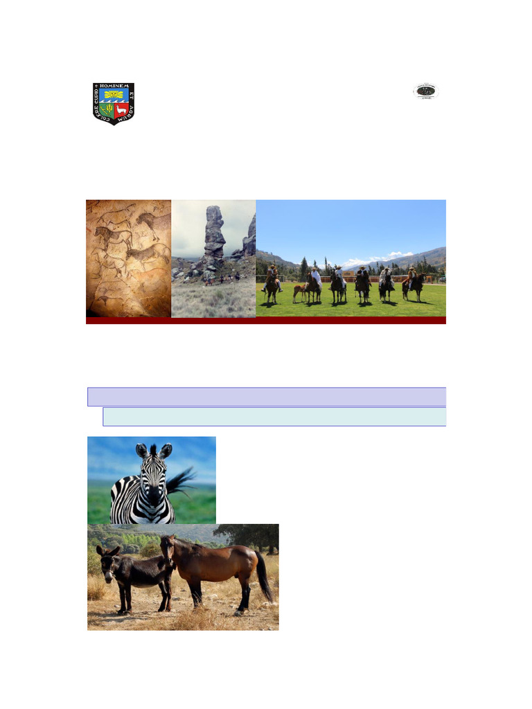 Evolución del Caballo: Historia y Especies | PDF | Caballos | Équidos