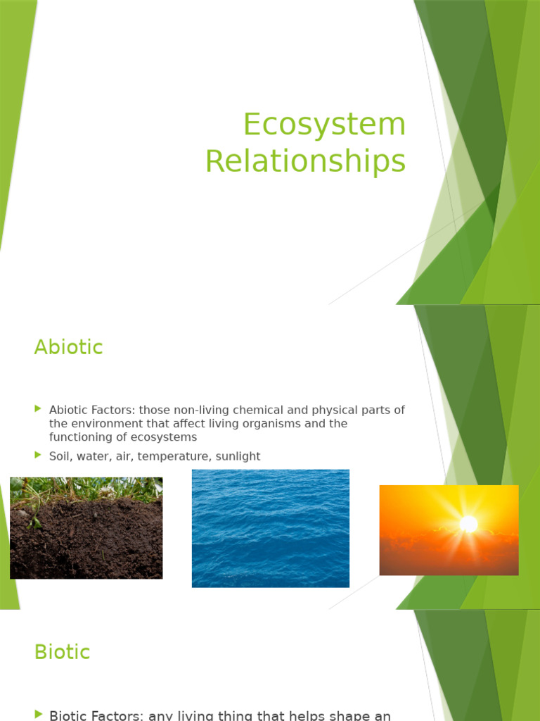 Ecosystem Relationships | PDF | Ecosystem | Symbiosis