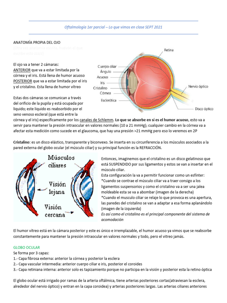 Oftalmo Res 1P y 2 | PDF | Ojo humano | Glaucoma