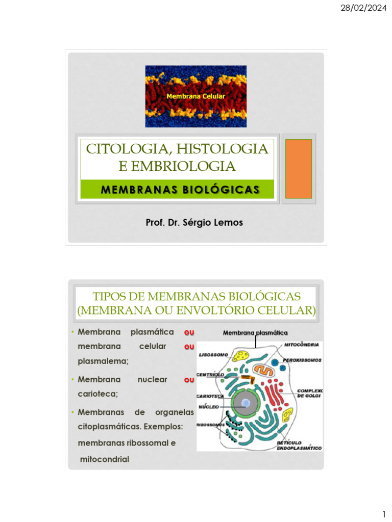 Aula 1 - Membranas Biologicas | PDF | Membrana celular | Fosfolipídeo