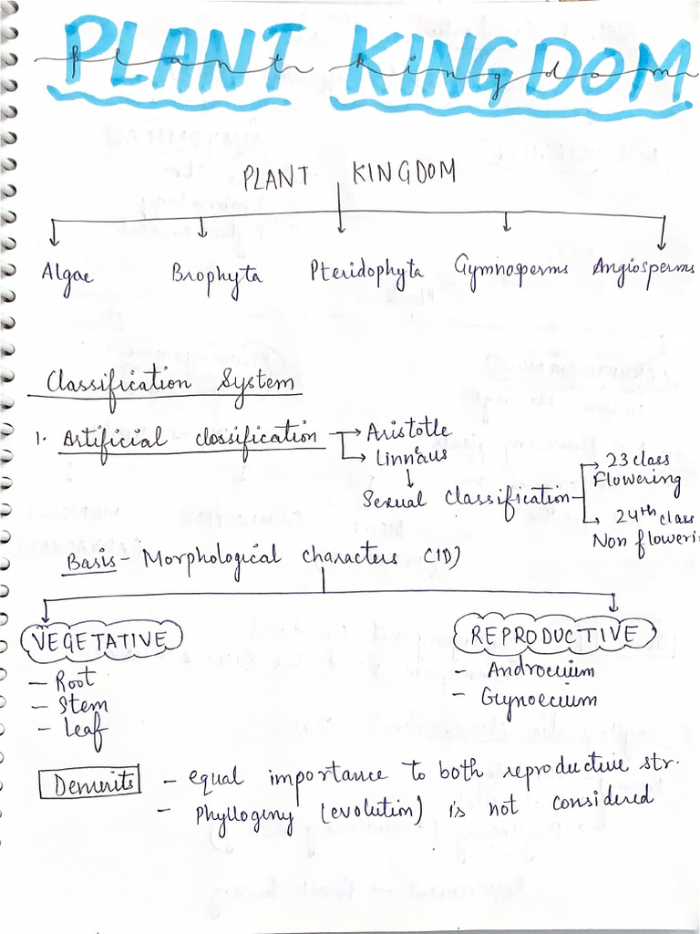 Plant Kingdom Part 1 | PDF