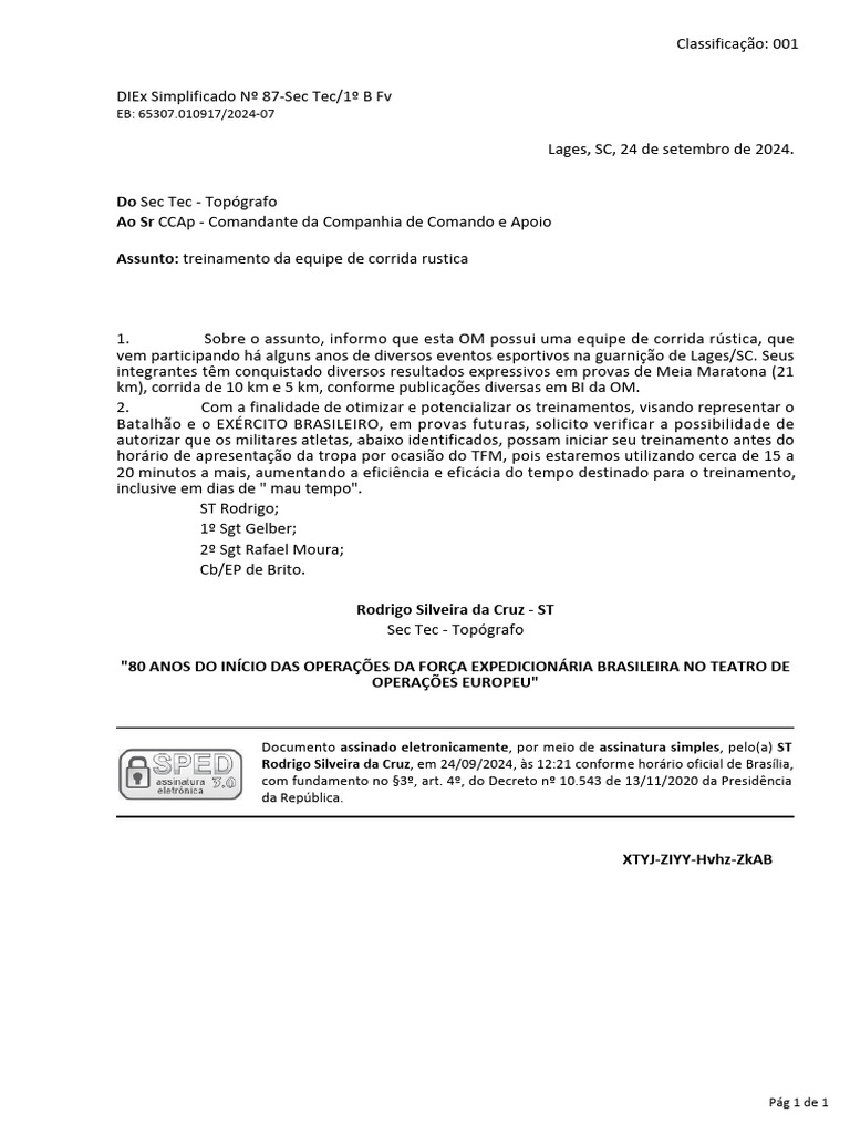 Diex Simplificado-87-Sec Tec - 1º B FV | PDF