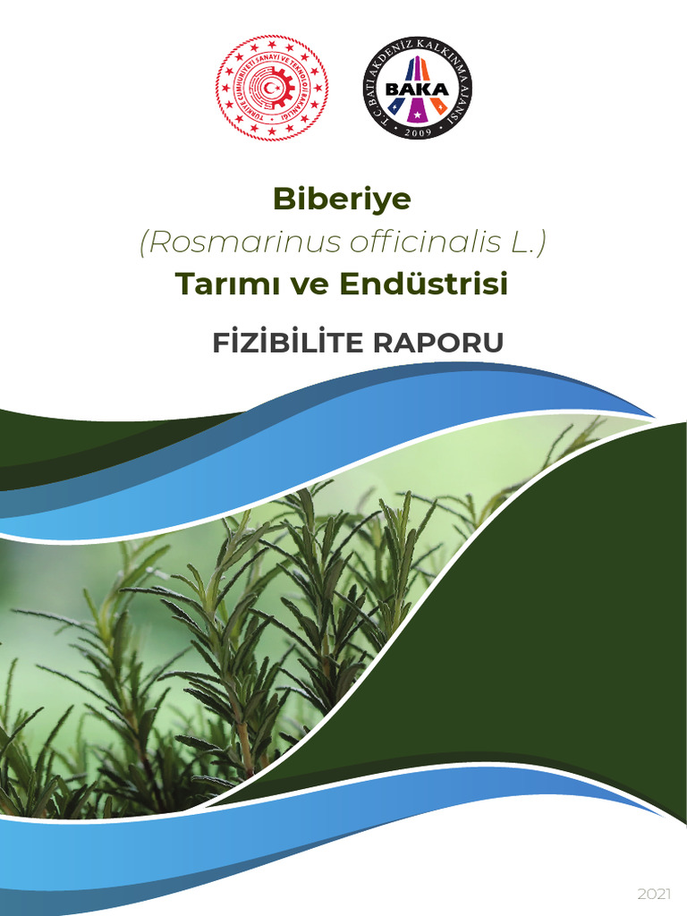 Biberiye Tarimi Ve Endustrisi Fizibilite Raporu | PDF