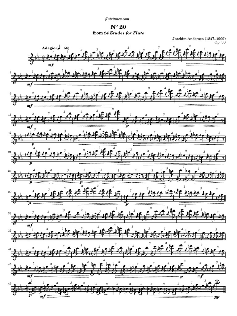 Andersen 24 Etudes Op30 No20 | PDF
