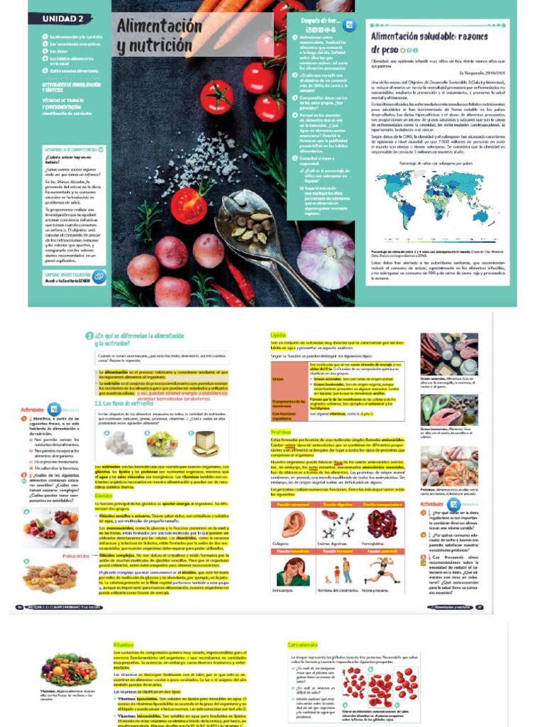 E3CD. T02. Tema Subrayado | PDF