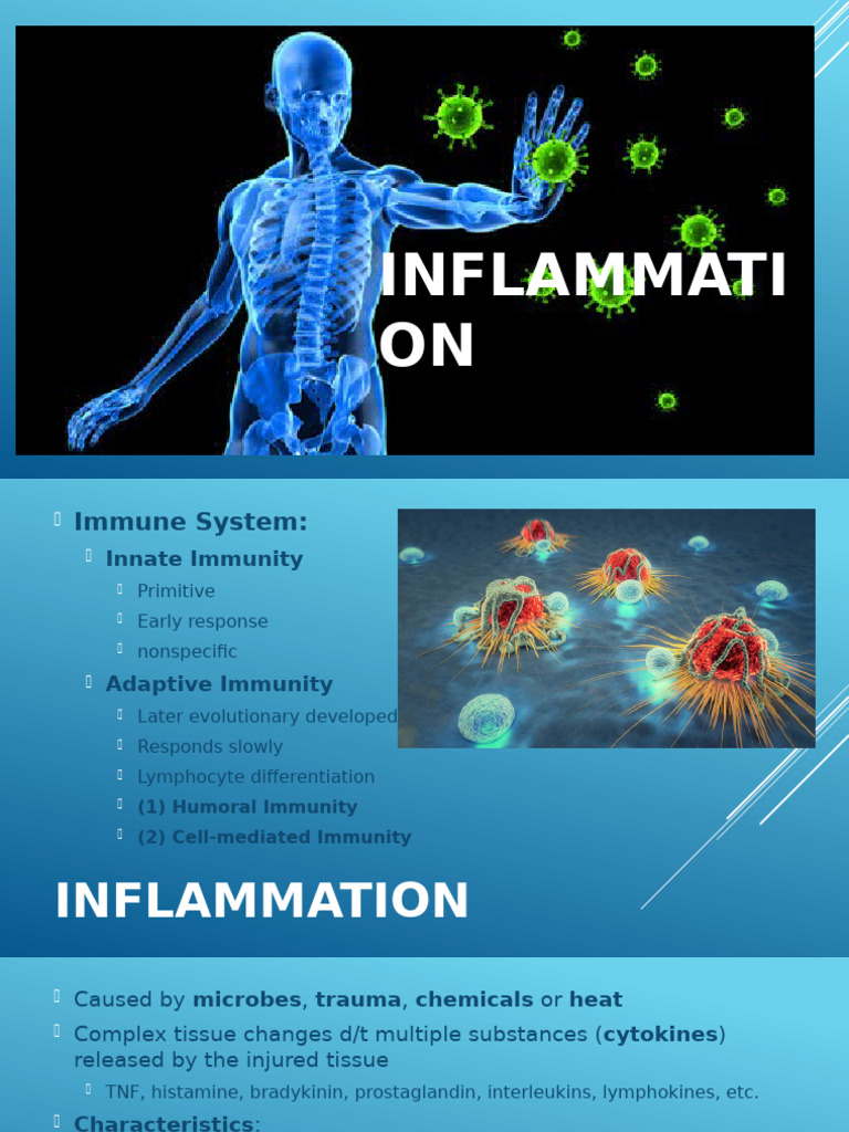 Homeo Inflamm | PDF | Inflammation | Macrophage