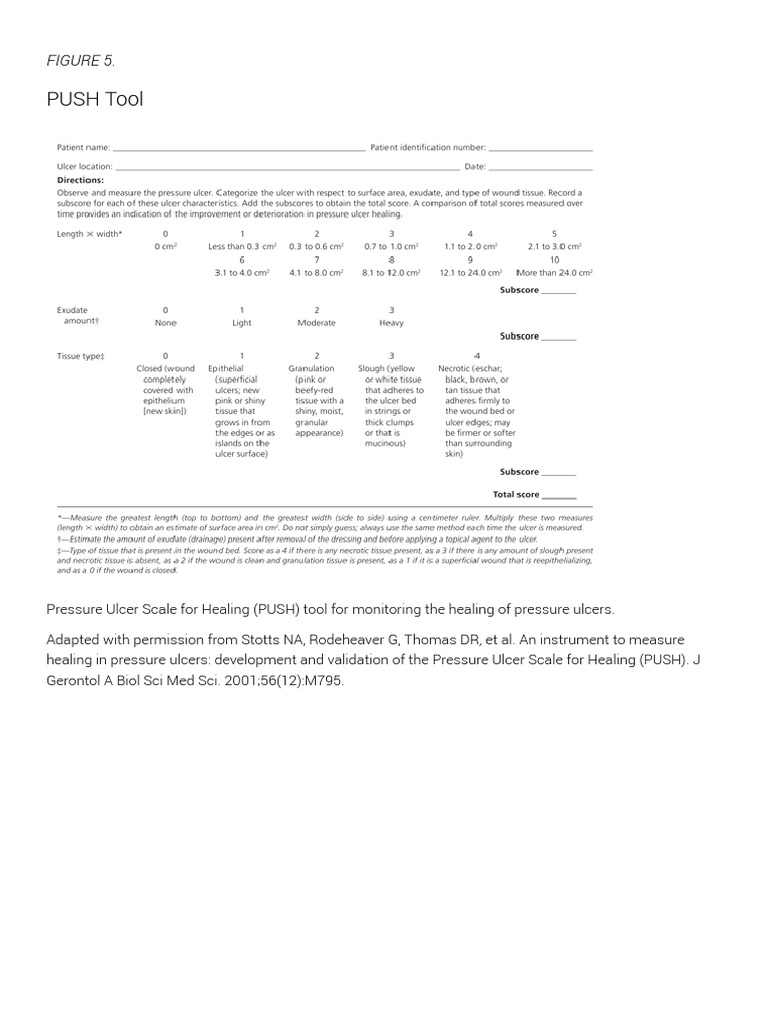 Pressure Ulcer Score Sheet | PDF