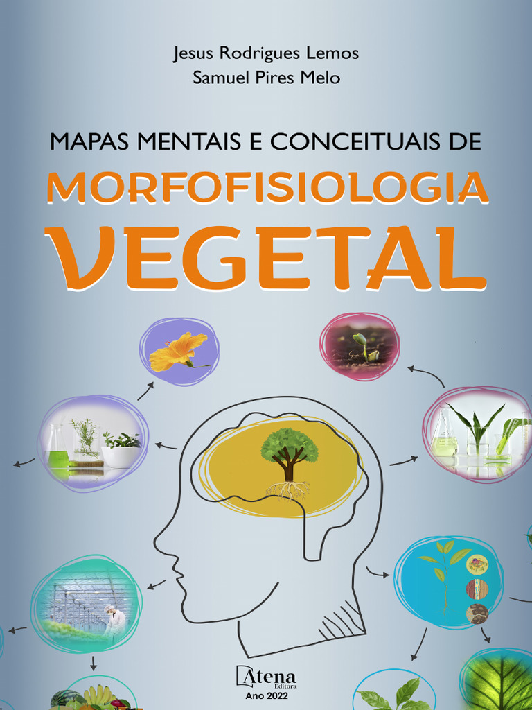 Mapas Mentais de Morfofisiologia Vegetal | PDF | Raiz | Áreas da Botânica