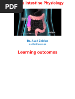 Understanding Haustrations in the Colon | PDF | Large Intestine | Organ ...