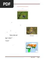 Hudhud: The Hoopoe Bird Explained | PDF | Birds | Ornithology