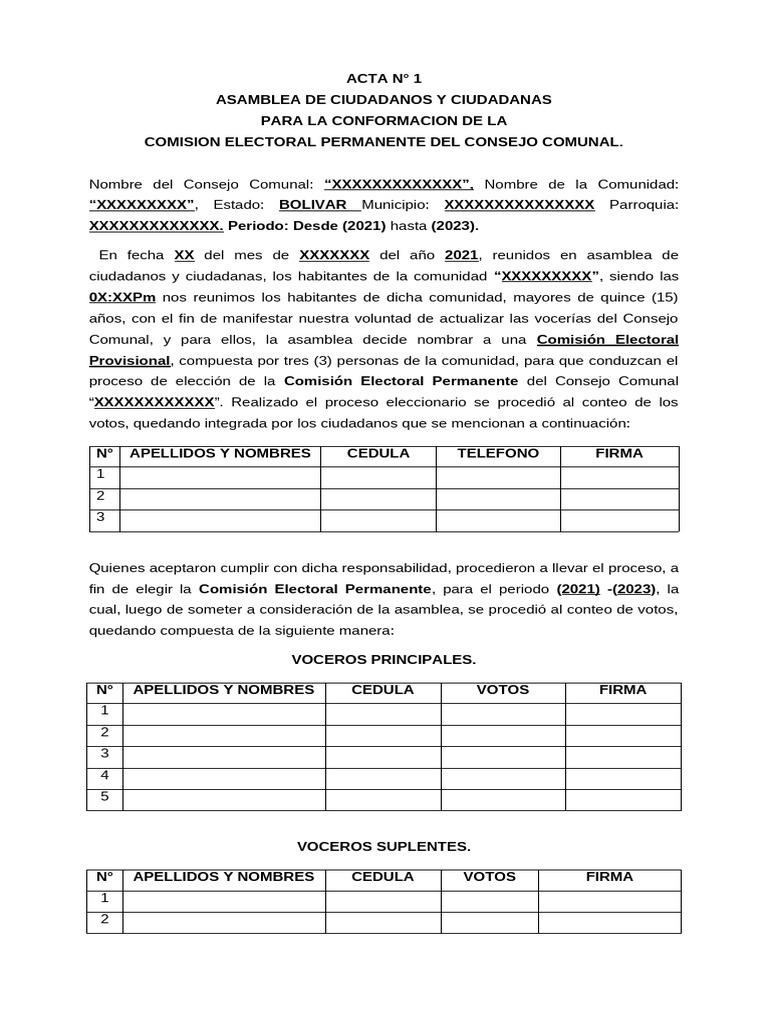 FORMATO ACTA N°1 CEP (Comision Provisional) | PDF | Gobierno | Responsabilidad