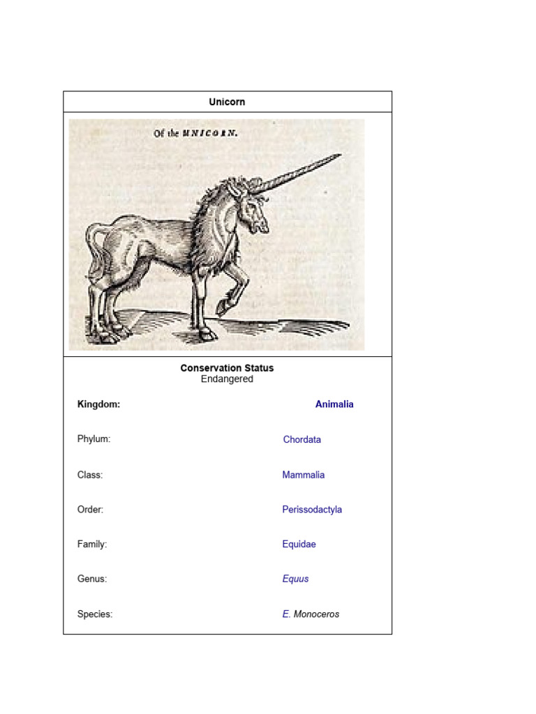 Unicorns | PDF