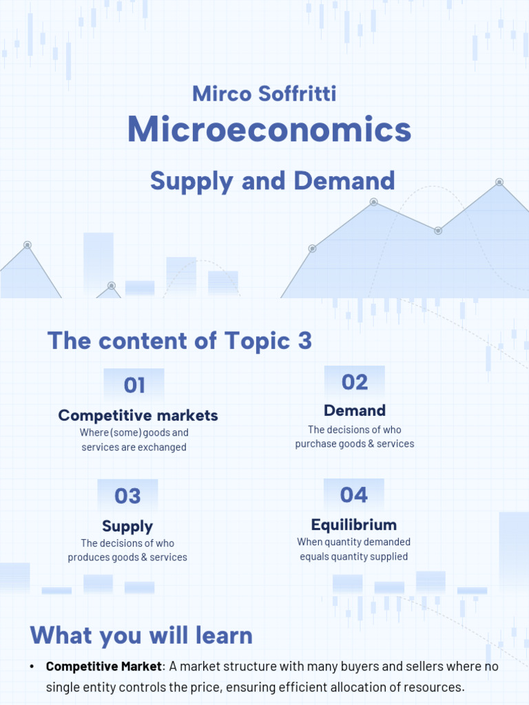 Understanding Competitive Markets in Microeconomics | PDF | Supply ...