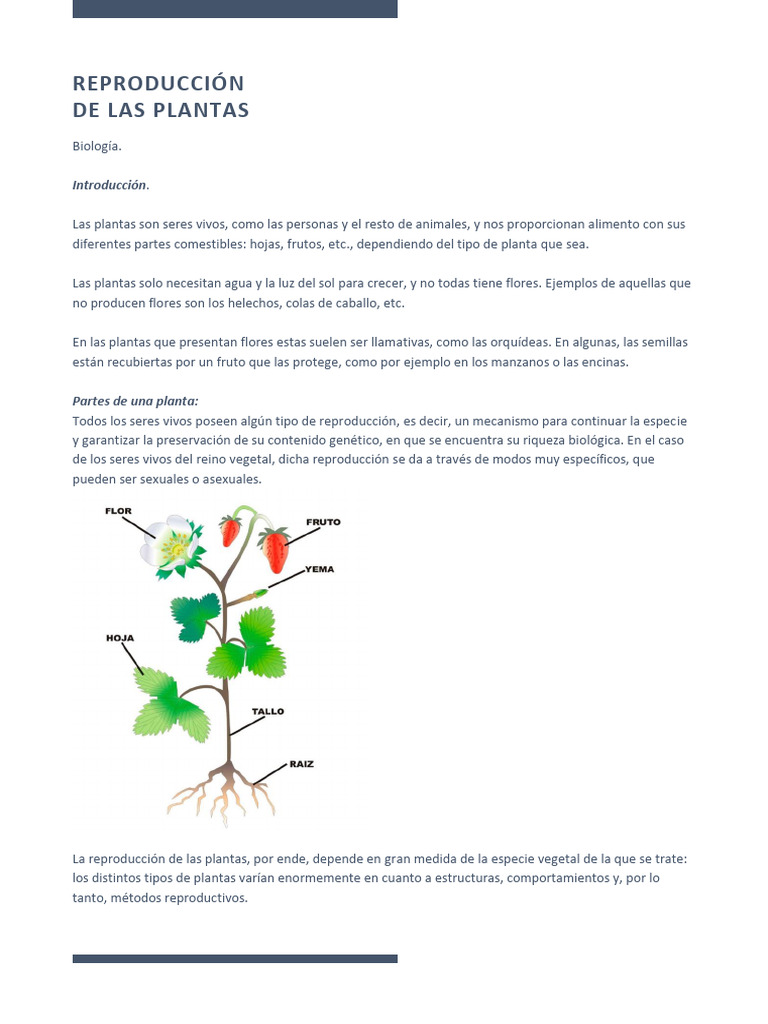 Reproducción Sexual y Asexual de Las Plantas. Biología | PDF ...
