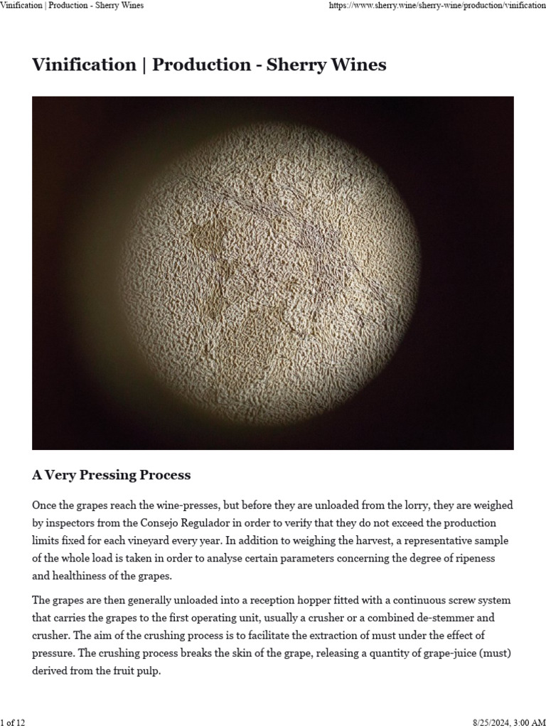 Sherry Wine Vinification Process | PDF | Winemaking | Wine