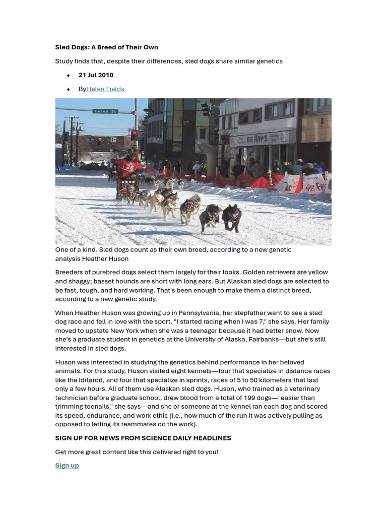 Sled Dogs A Breed of Their Own | PDF | Dog Breeds | Animal Breeds