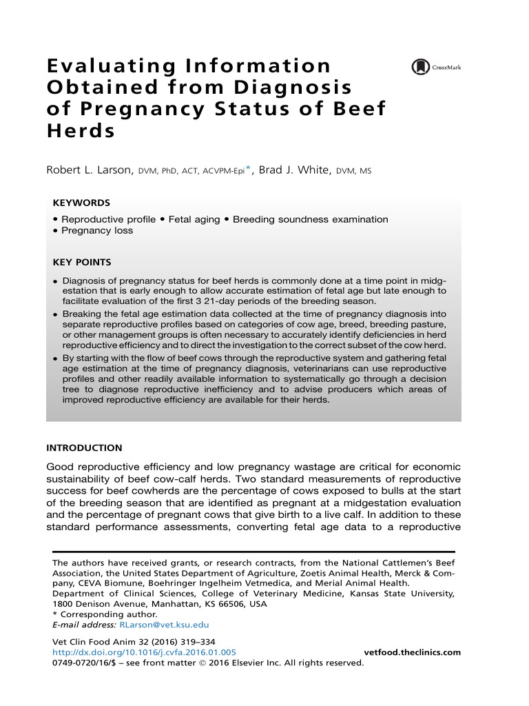 Larson Beef Herd Reproduction | PDF | Pregnancy | Cattle
