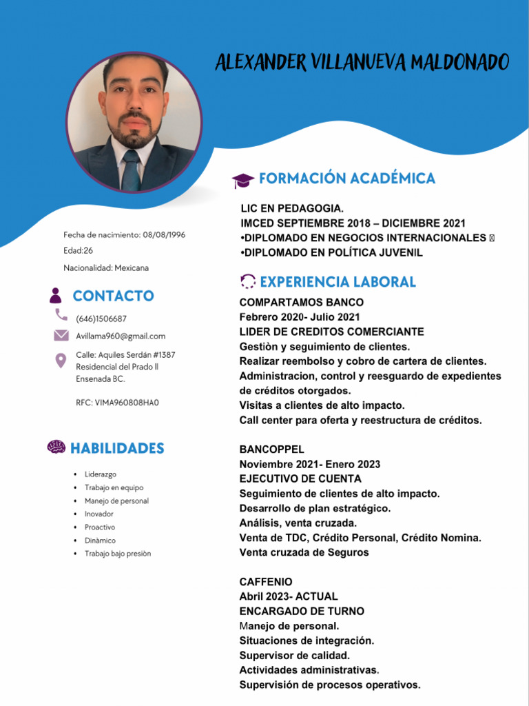 CV Armando Alexander Villanueva Maldonado | PDF