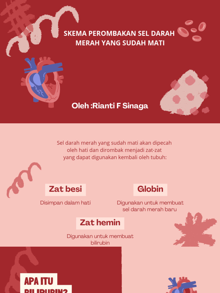 Presentasi Pendidikan Sistem Peredaran Darah Dalam Gaya Bertekstur ...