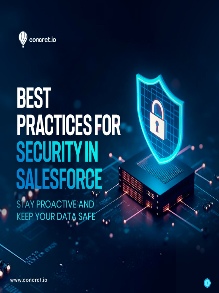 Security in Salesforce | PDF