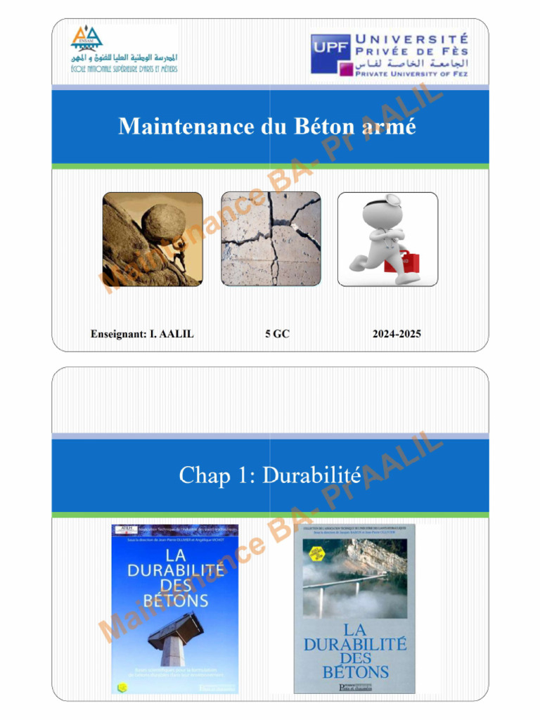 Maintenance BA - Pr AALIL Overview | PDF