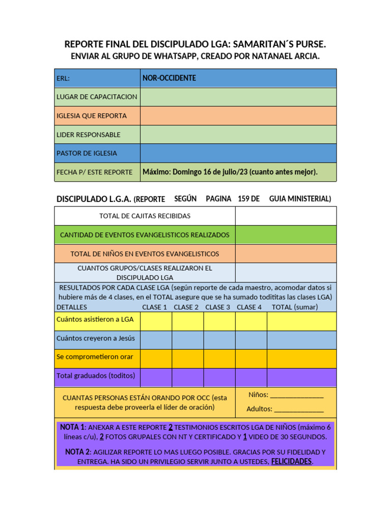 REPORTE FINAL LGA | PDF