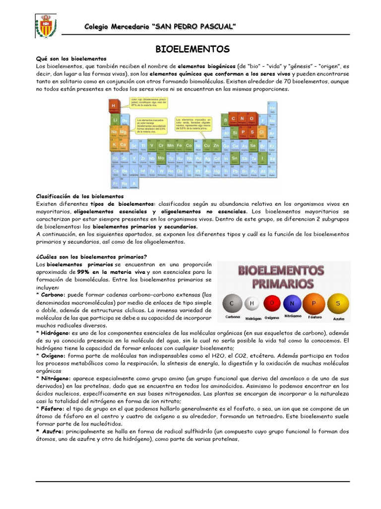 Bioelementos y Biomoleculas 2do 2024 | PDF | Glucosa | Polisacárido