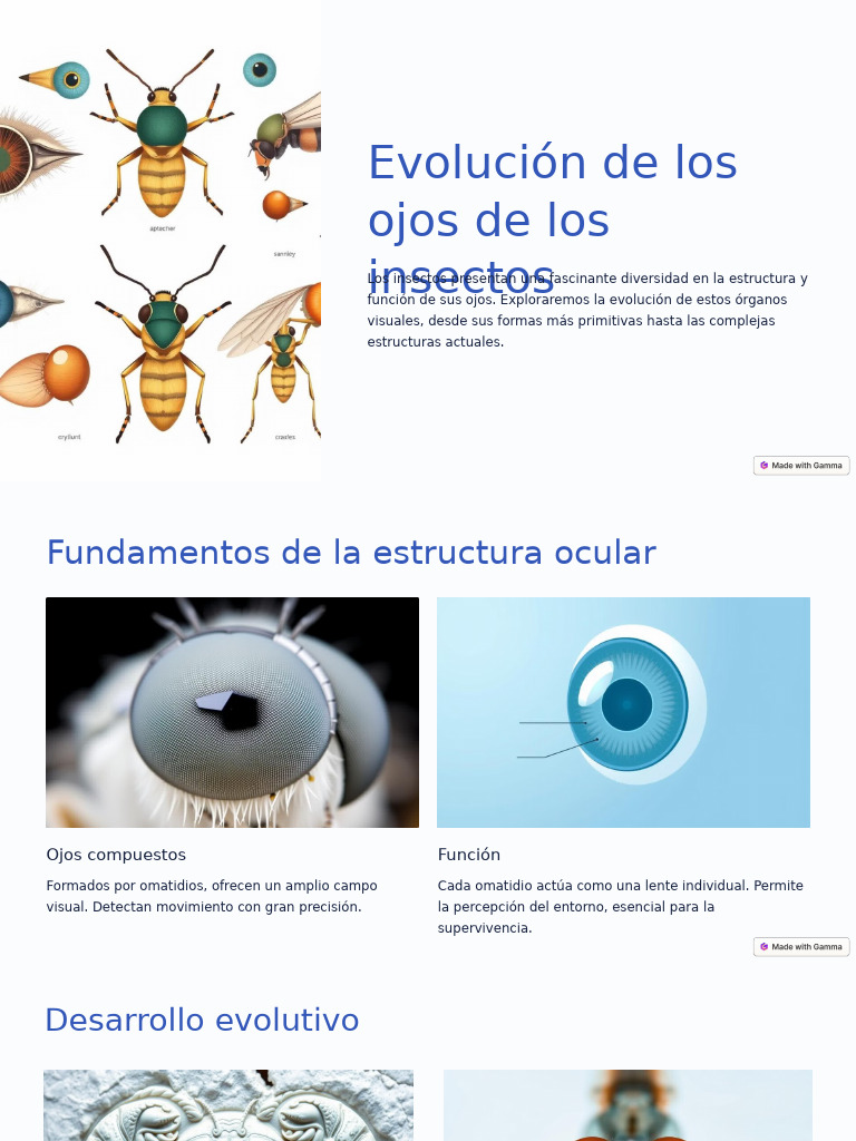 Evolucion de Los Ojos de Los Insectos | PDF