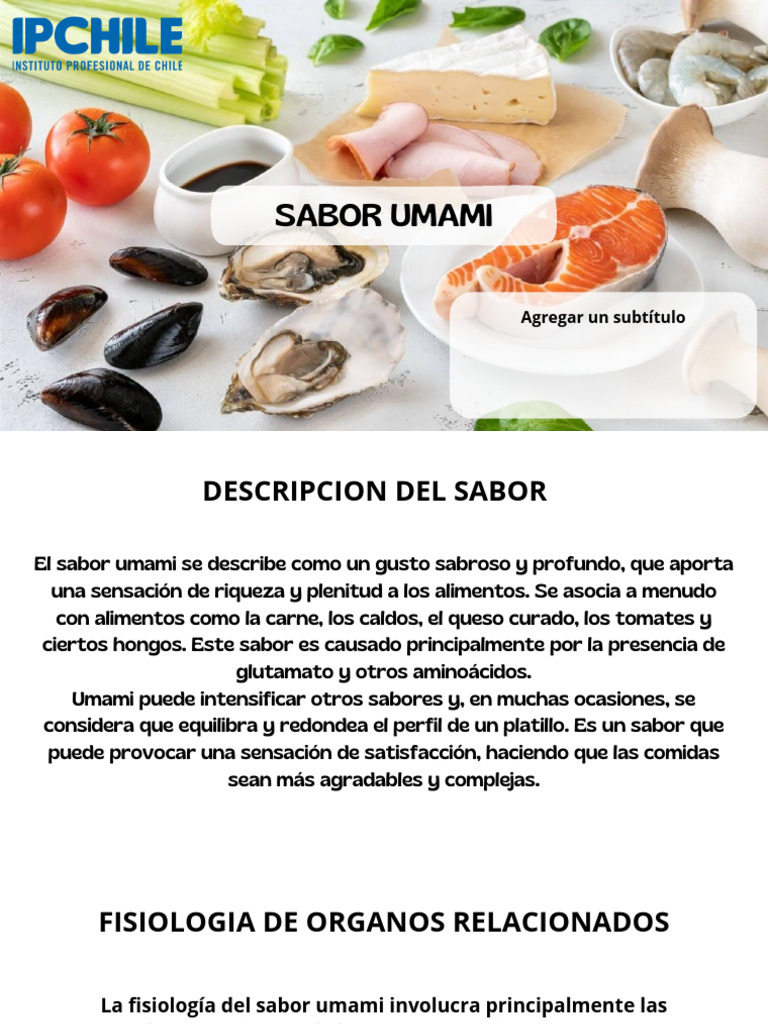 Umami | PDF | Umami | Queso
