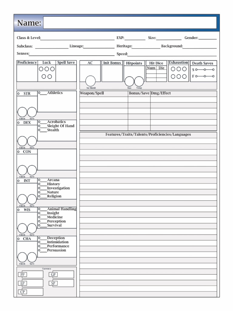 5E Black Flag Editable Blank Character Sheet | PDF