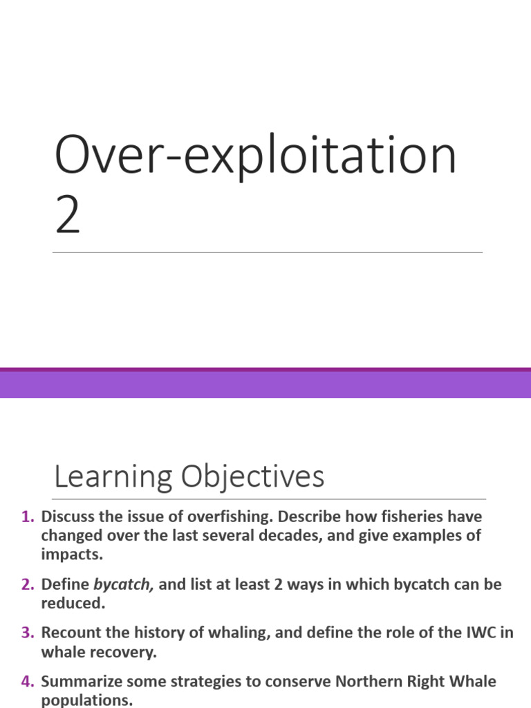 1940 - W24 - L21 - Exploitation 2 | PDF | Overfishing | Whaling