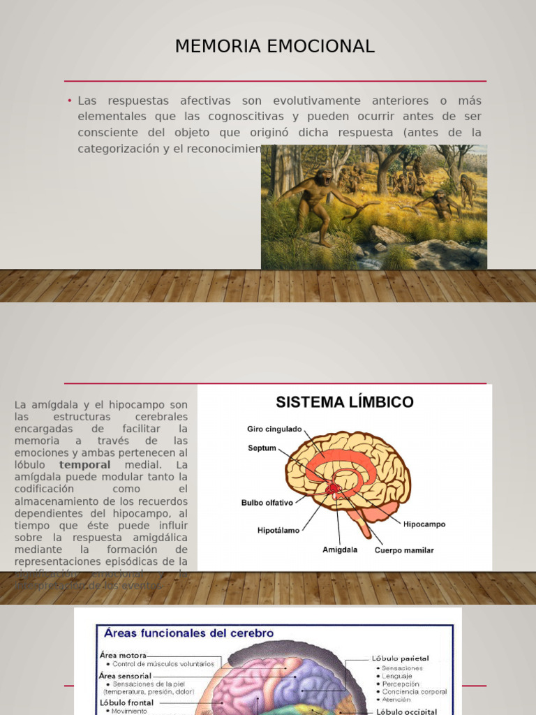 Memoria Emocional | PDF | Amnesia | Carrera