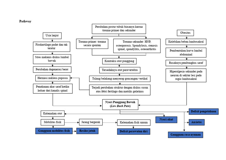 Pathway Tip LBP | PDF