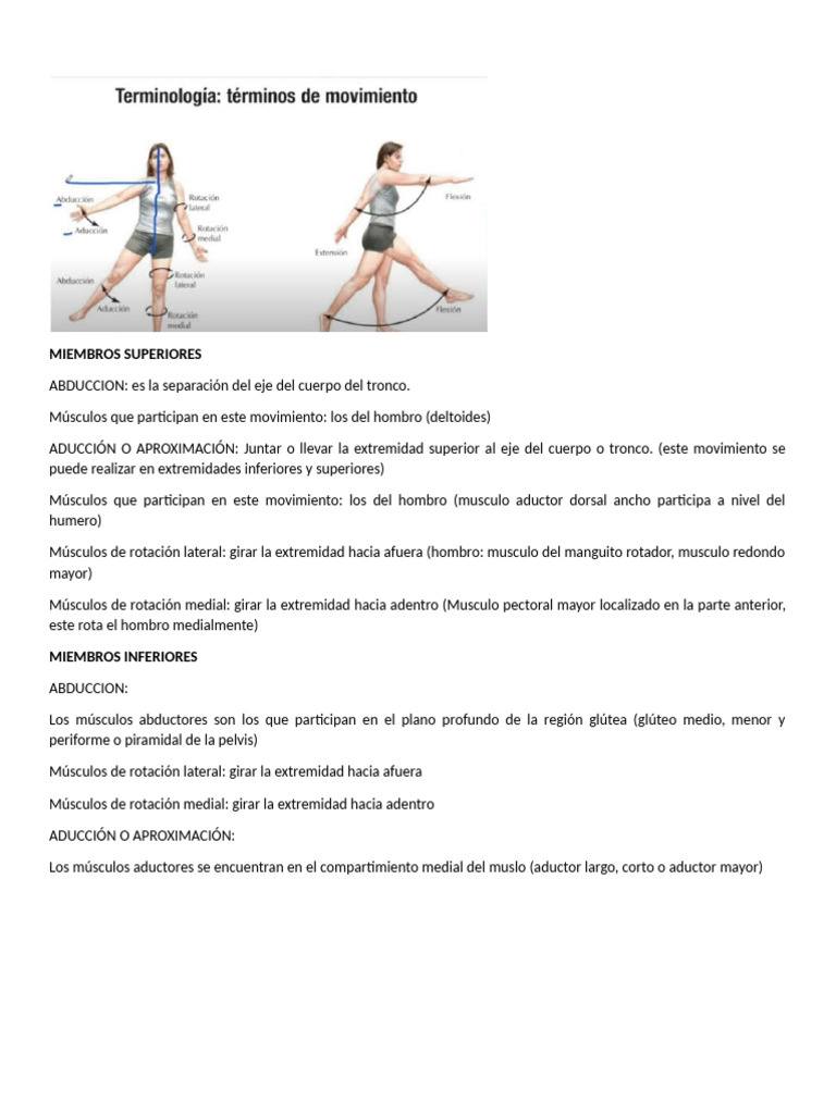 EJES | PDF | Hombro | Mano